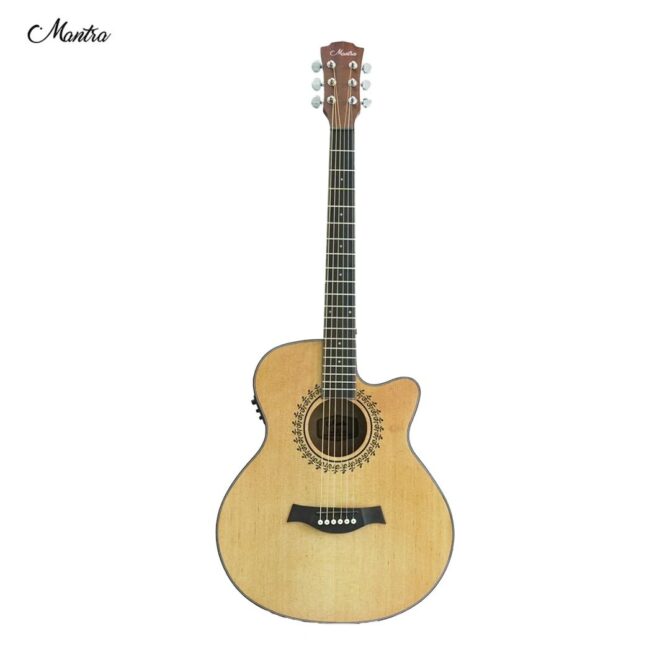 Guitar | Mantra Guitar