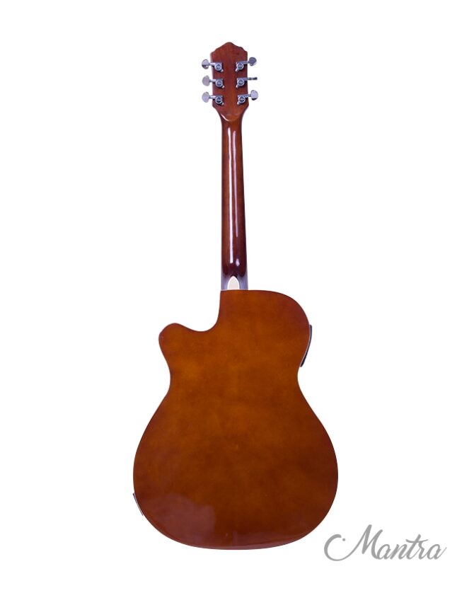 Mantra Avatar, A Masterpiece In Semi-acoustic Guitar