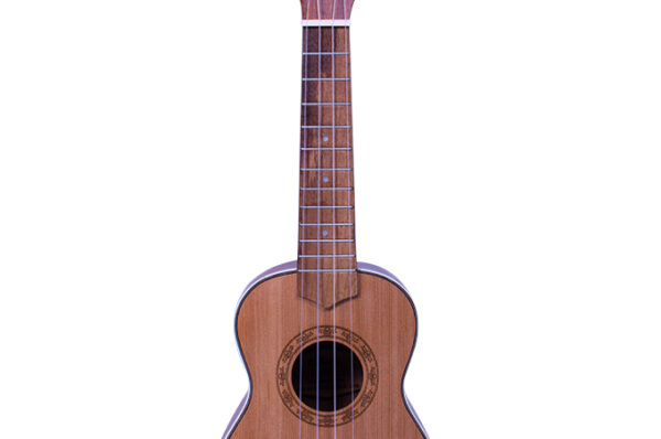 Mantra Avatar, A Masterpiece In Semi-acoustic Guitar