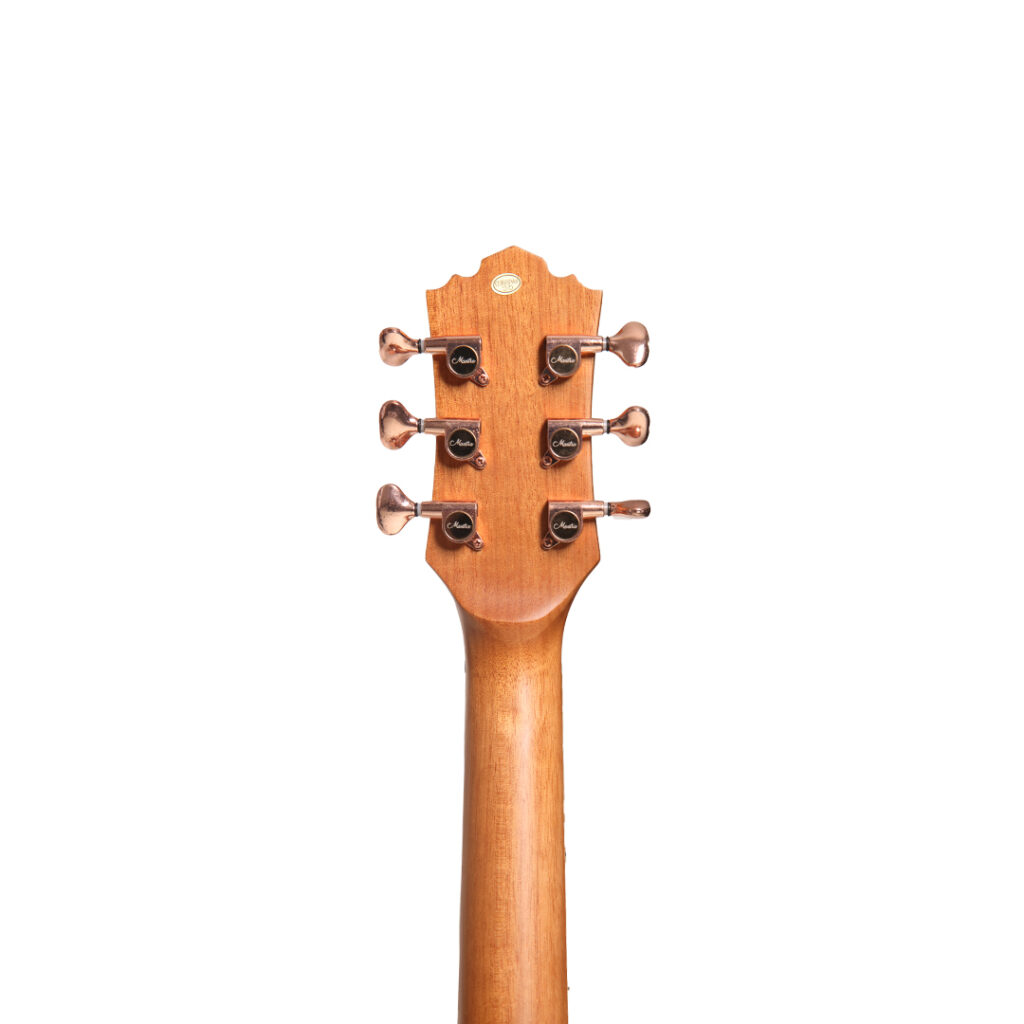 Mantra Semi Acoustic Guitar Prakriti EQ | Mantra Guitar